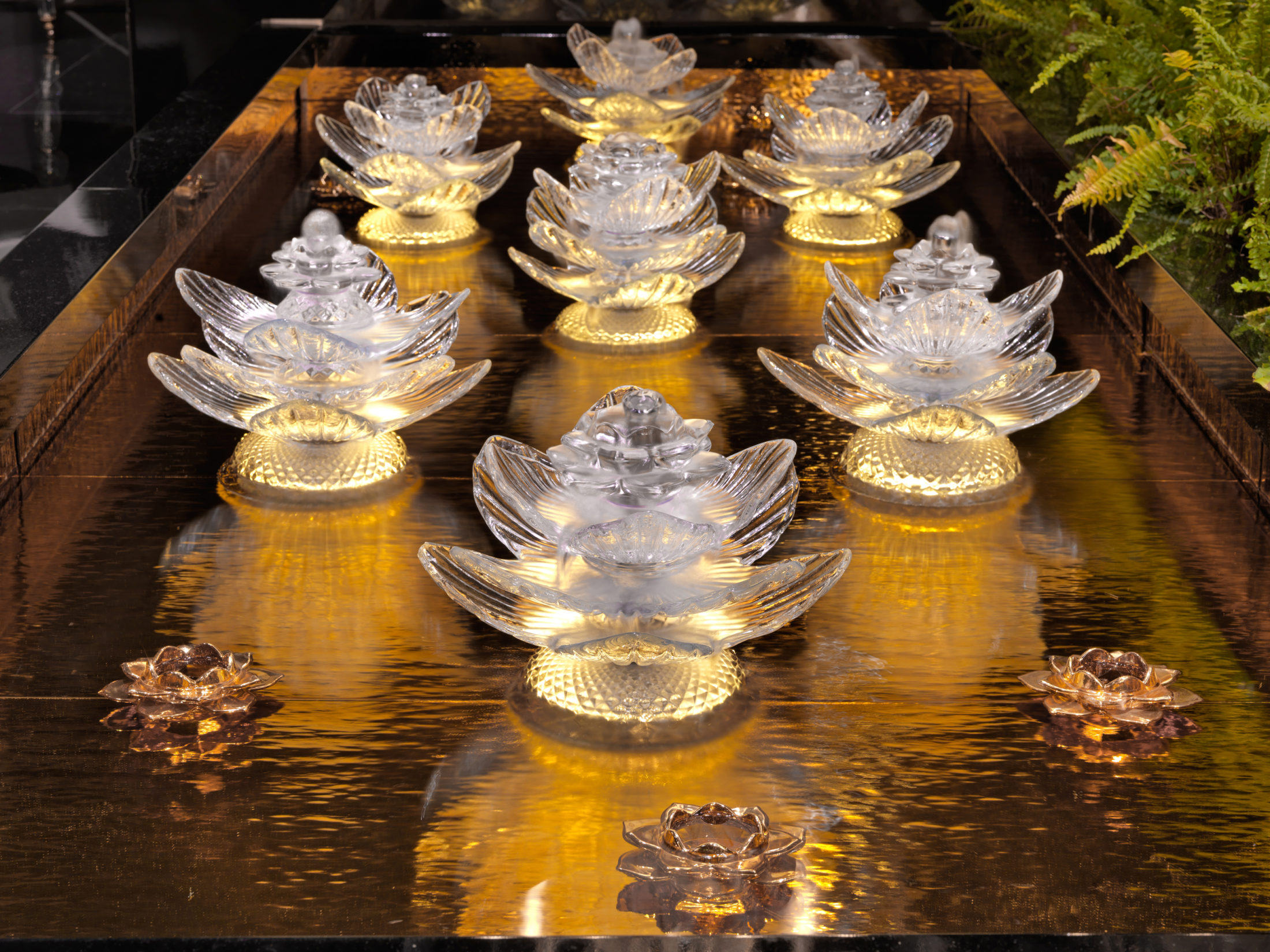 Lotus Flowers Fountain - iDogi