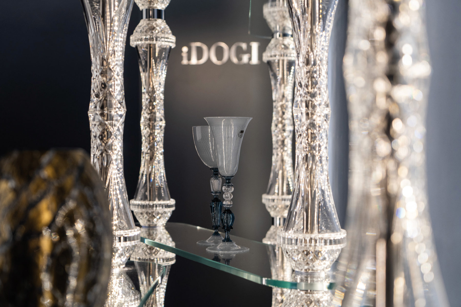 Professionals - iDogi