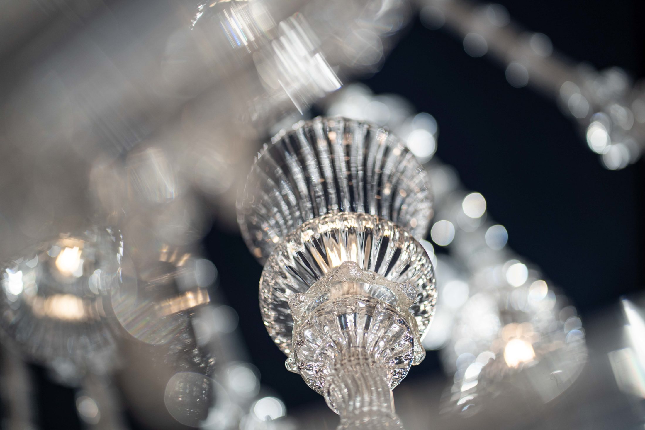 Chandeliers – iDogi